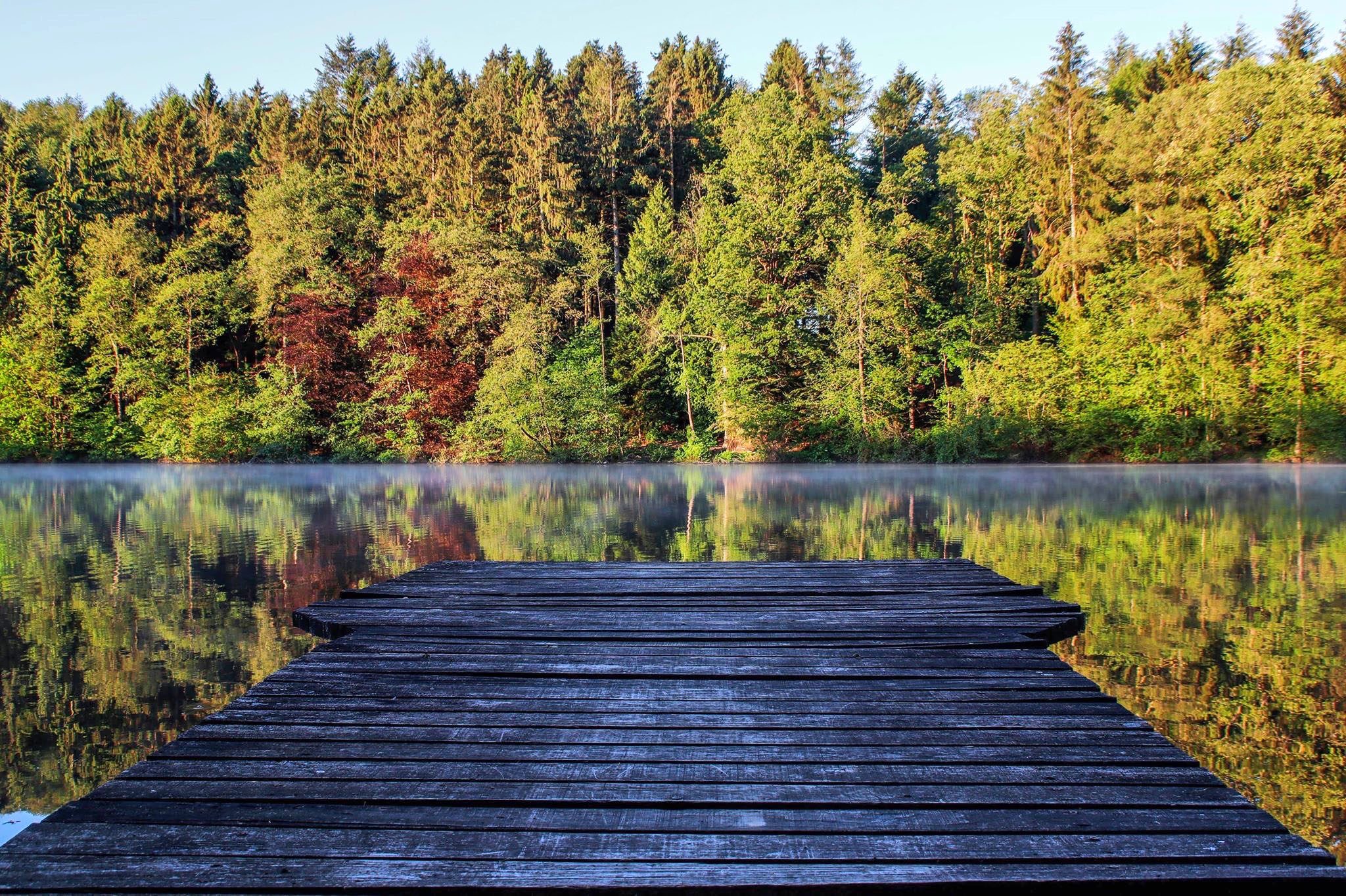 53 ideas for a nature weekend in Belgium (2025)