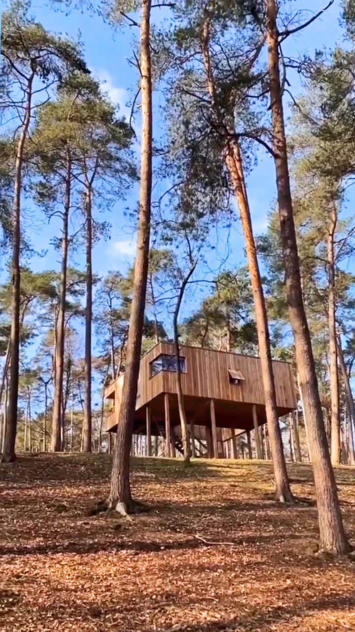 Lodges by Forestia - Pourquoi on a adoré (2025) - Lodges près de Liège