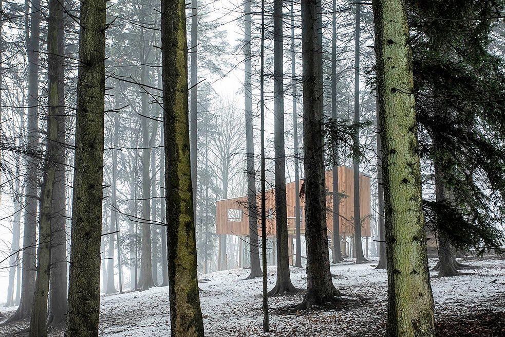 Lodges by Forestia - Pourquoi on a adoré (2024) - Lodges près de Liège