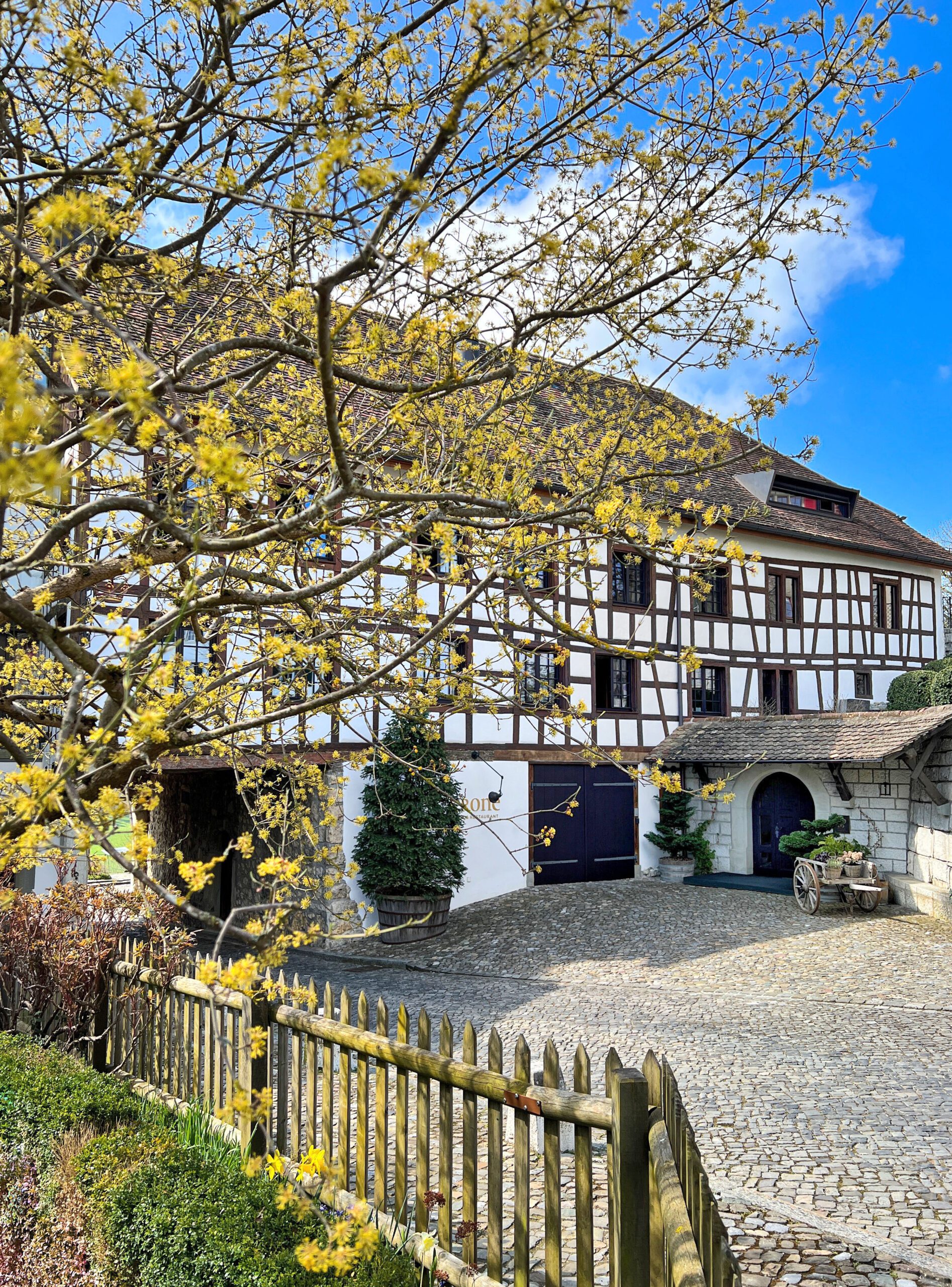 Krone Regensberg - Why we loved it (2025) - 4* hotel near Zurich